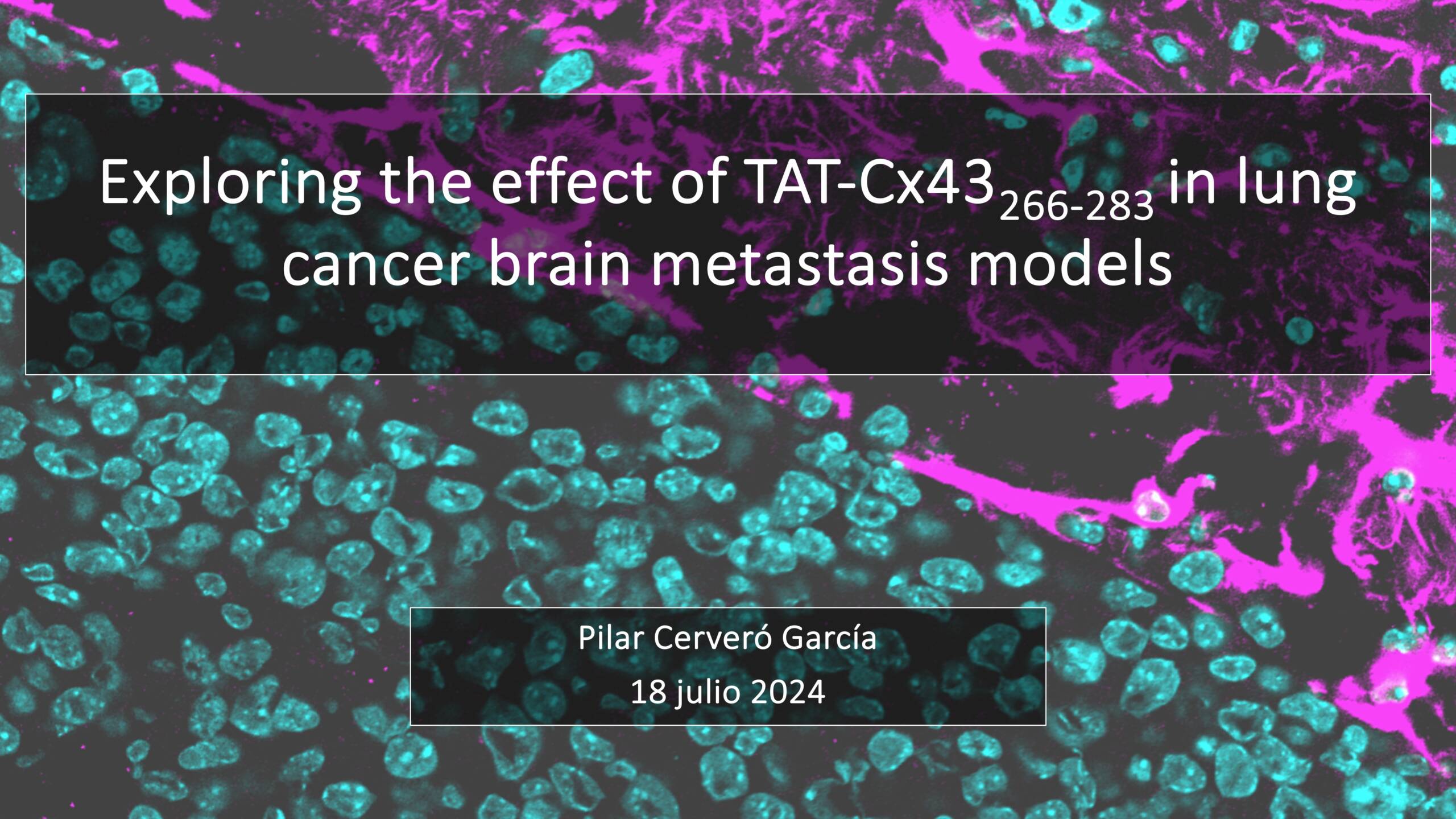 Defensa de Tesis Doctoral de Pilar Cerveró - Instituto de Neurociencias ...